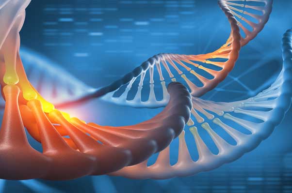 Revue Éléments - Il était une fois les gènes